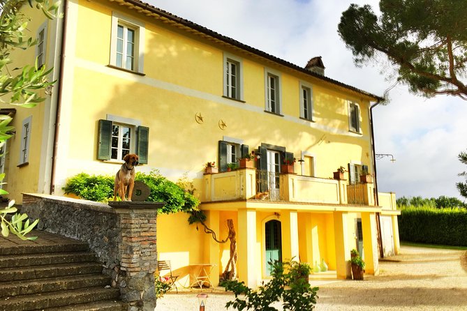 Winery Tour and Wine, Cheese & Charcuterie Tasting - Guided Vineyard Walk