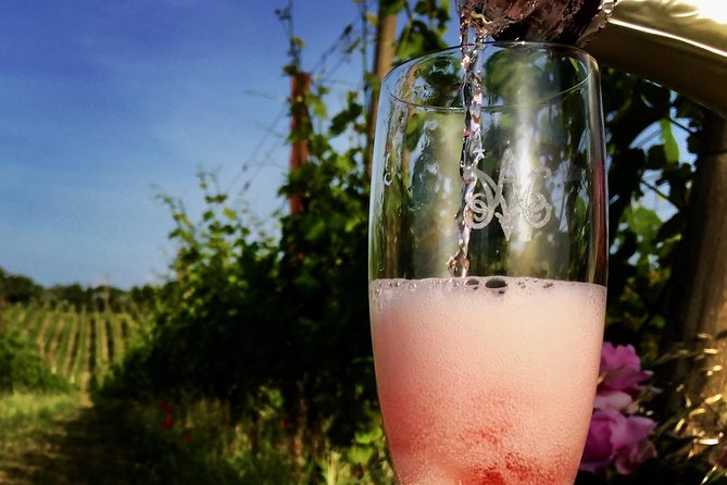 Winery Tour and Wine, Cheese & Charcuterie Tasting - Wine Tasting Details