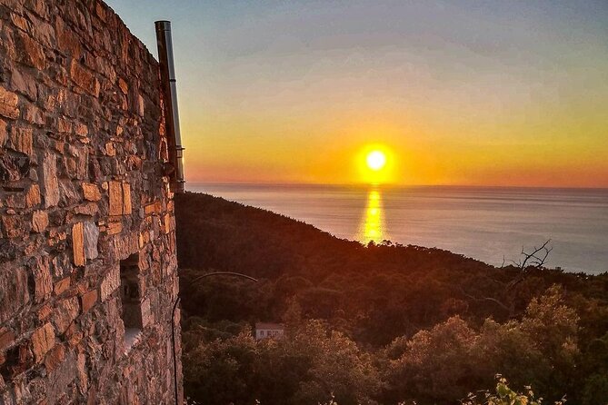 Winery Tour and Wine Tasting at Karimalis Winery in Ikaria - Tasting Karimalis Wines and Sampling Local Delicacies