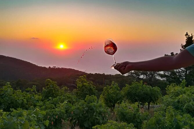 Winery Tour and Wine Tasting at Karimalis Winery in Ikaria - Booking Information and Policies