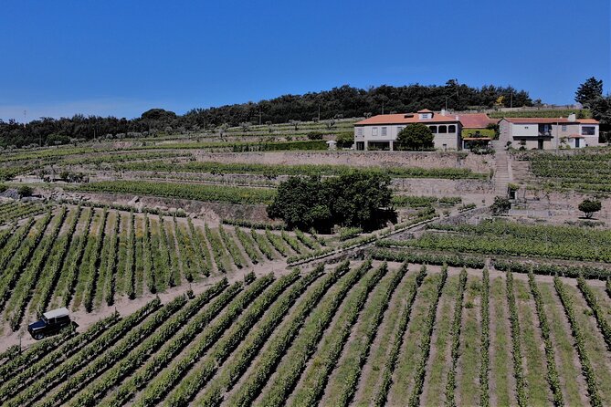 Winery Tour and Wine Tasting Quinta Da Portela De Baixo in Lamego - Pricing, Booking, and Cancellation Policy