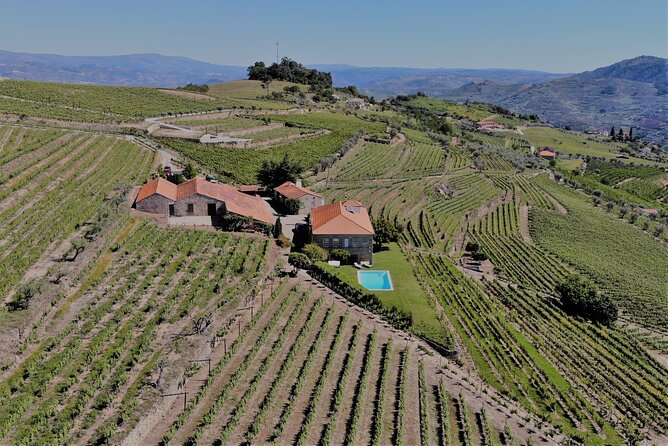 Winery Tour and Wine Tasting Quinta Da Portela De Baixo in Lamego - Guest Reviews and Feedback