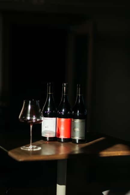 Winery tour and wine tasting with lunch or dinner - A Tasty Look at the Winery Tour and Wine Tasting with Lunch or Dinner in Piedmont