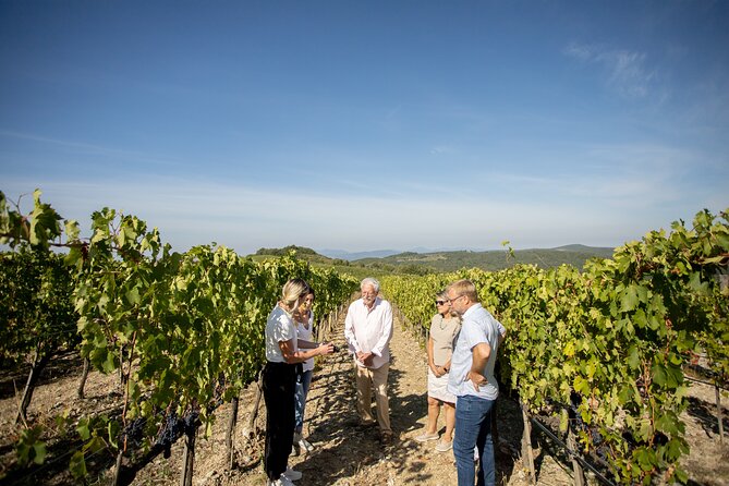 Winery Tour & Gourmet Tasting in Montalcino - Customer Feedback