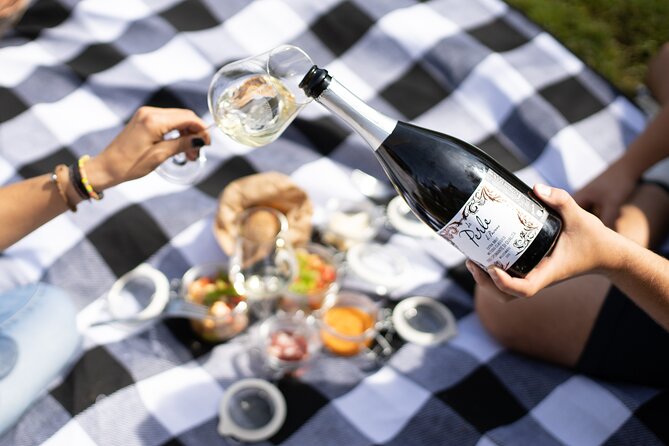 Winery Tour & picnic in the vineyard with a bottle of wine - The Practicalities