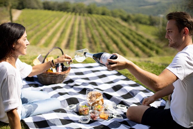 Winery Tour & picnic in the vineyard with a bottle of wine - FAQ