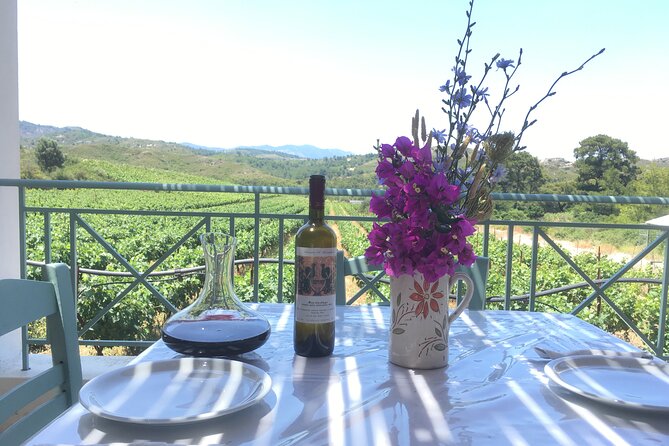 Winery Tour, Tasting and cooking with the Winemaker in Rhodes - Key Points