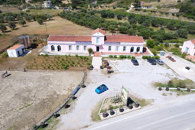 Winery Tour, Tasting and cooking with the Winemaker in Rhodes - Authentic, Fun, and Educational—Who Will Love It?