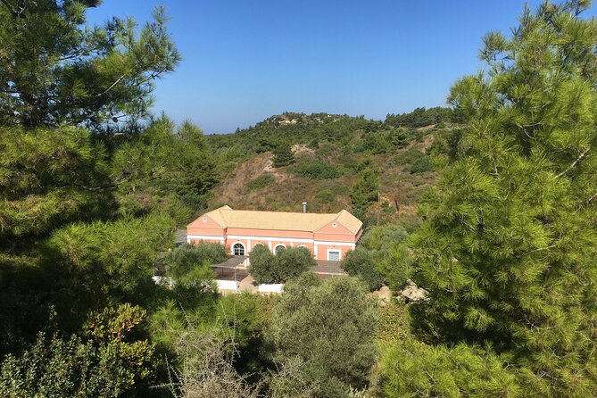 Winery Tour, Tasting and cooking with the Winemaker in Rhodes - Final Thoughts