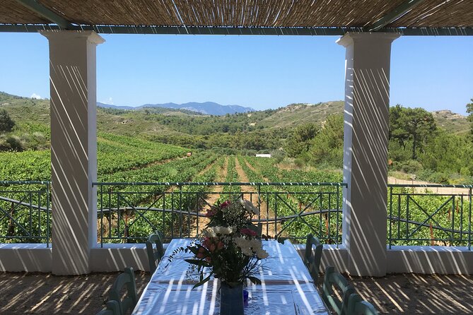 Winery Tour, Tasting and cooking with the Winemaker in Rhodes - FAQs