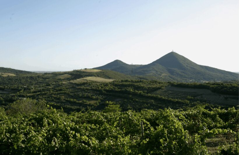 Winery Tour & Tasting on Padua Hills - How Does It Compare?