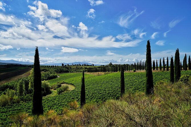 Winery Tour & Wine Tasting in Montalcino - Wine Selection Choices
