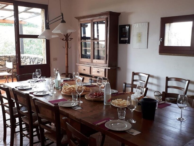 Winery Tour & Wine Tasting with Food near Livorno & Pisa - Practical Details and Tips