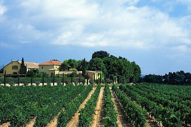 Winery Tour with Private Luxury Vehicle from Barcelona with Hotel pick up - The Itinerary in Detail