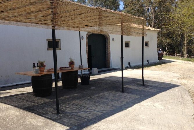 Winery Tour With Wine and Olive Tasting in Corfu - Pricing and Booking Details