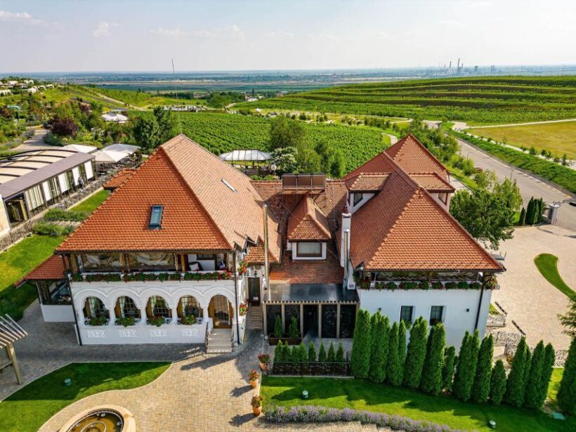 Winery touring & private wine tasting - one day private tour - Flexibility and Customization