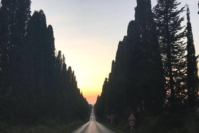 Winery Tours and Tastings in Bolgheri With Wine Guide - Key Points