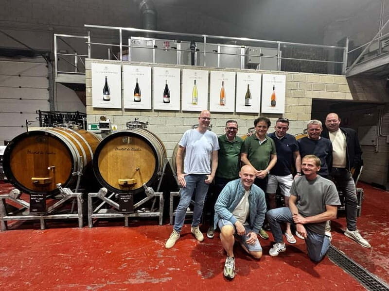 Winery Visit and Tasting in Elche with wines and tapas from Alicante in Van - The Practicalities and Value