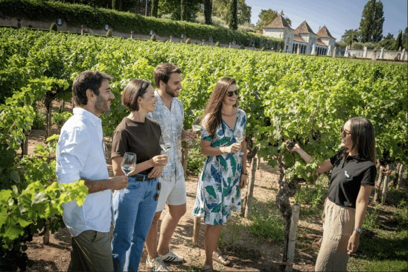 Winery Visit & Fish Market Tour with Tasting from Lisbon - What’s Included and What’s Not