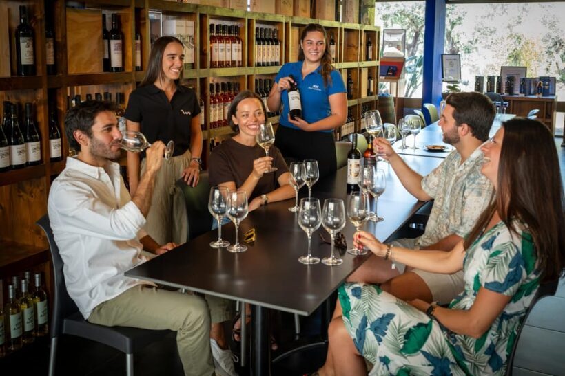 Winery Visit & Fish Market Tour with Tasting from Lisbon - Who Will Love This Tour?