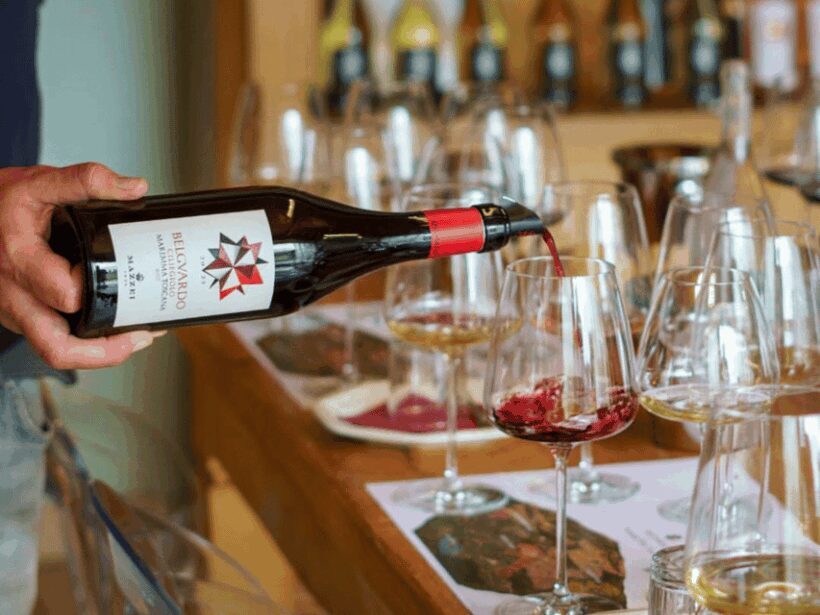 Winery Visit & Tasting near Grosseto with 6 wines - Inside the Barrel Cellar