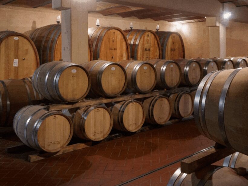 Winery Visit & Tasting near Grosseto with 6 wines - Why This Tour Is a Good Value