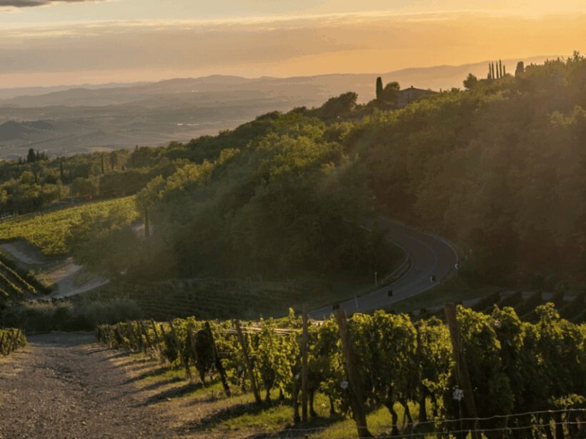 Winery Visit & Tasting near Grosseto with 6 wines - Practical Tips for Travelers