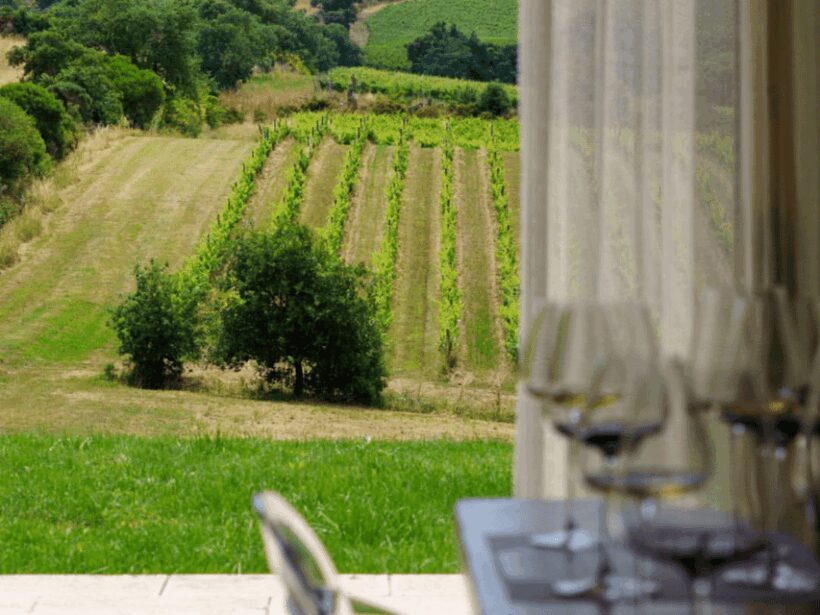 Winery Visit & Tasting near Grosseto with 6 wines - Final Thoughts