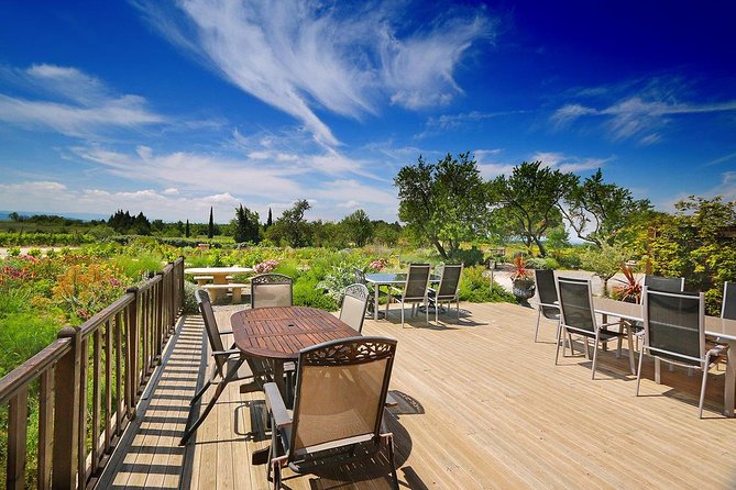 Winery Visit With Food and Wine in Carcassonne - Winemaker-Led Tour and Tasting