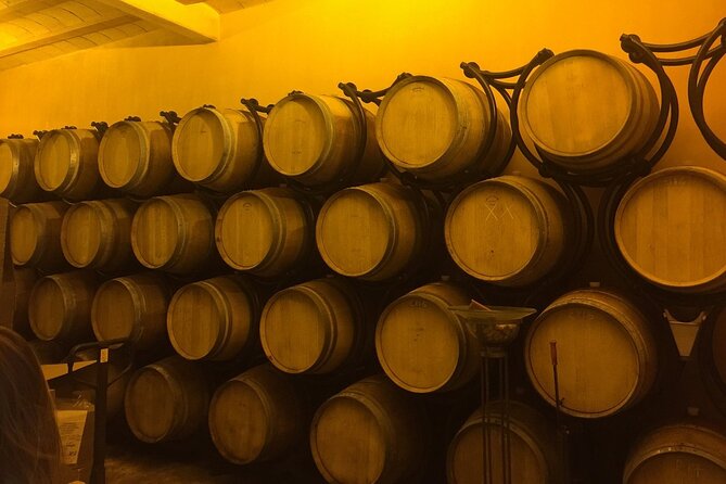 Winery Visit With Food and Wine in Carcassonne - Wheelchair Accessibility and Transportation