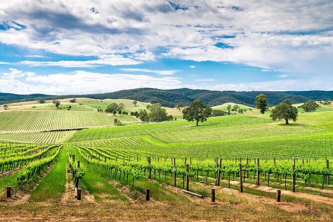 Wines and Whispers:Barossa Valley Private Wine Tour from Adelaide - A Closer Look at the Itinerary