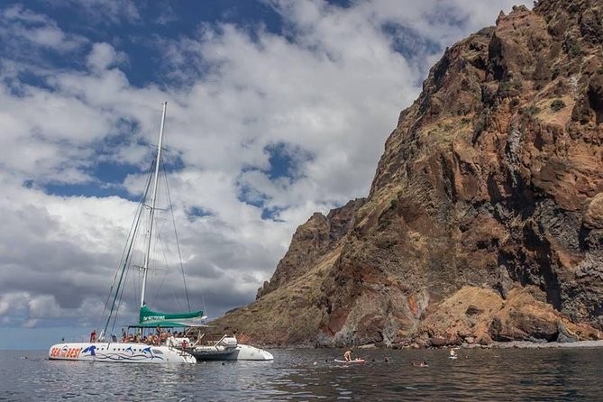Wines Tasting Experience and Skywalk With Dolphin Watching - Important Information for Participants