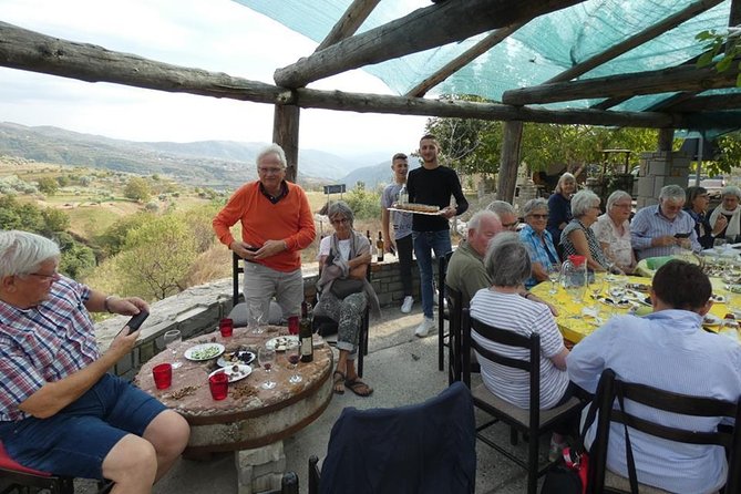 Winetasting Tour in Alpeta Winery - Roshnik Village by 1001 Albanian Adventures - Discovering the Local Vineyards