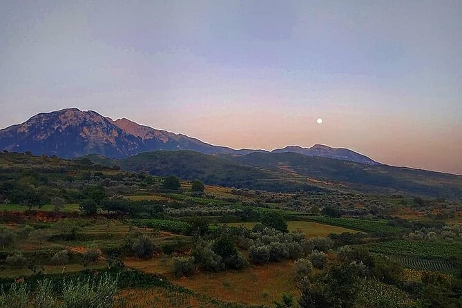 Winetasting Tour in Alpeta Winery - Roshnik Village by 1001 Albanian Adventures - Customer Reviews and Ratings