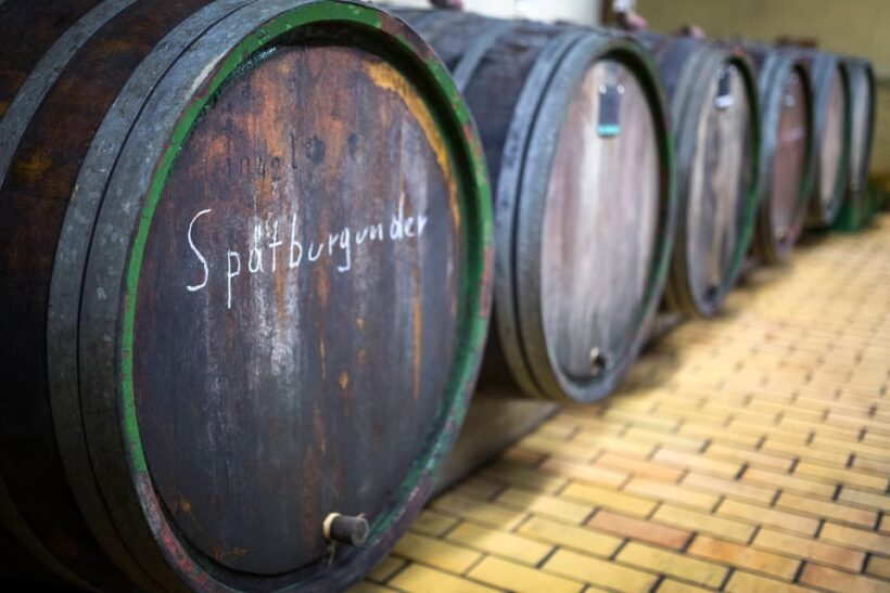 Winetasting with tour through the winery - What Makes This Tour Special?