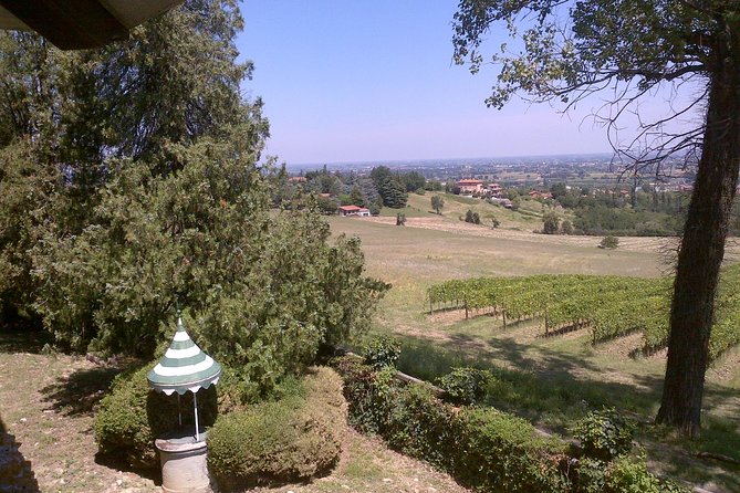Winetour and Tasting on Bologna Hills, Guided by the Wine Grower - Meeting and Transportation