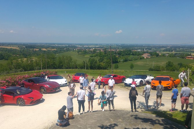 Winetour and Tasting on Bologna Hills, Guided by the Wine Grower - Accessibility and Additional Information