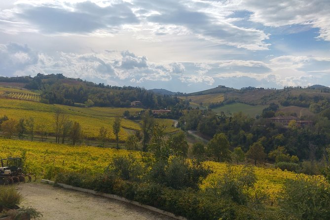 Winetour and Tasting on Bologna Hills, Guided by the Wine Grower - Tasting the Wines of Emilia-Romagna