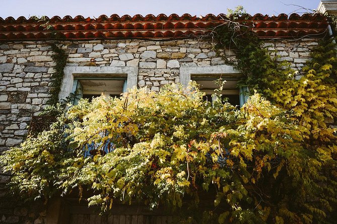 Winetour & Food Experience in Pic St Loup - Additional Information