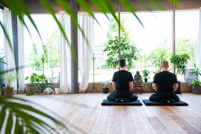 WING HO martial arts school Oliver Ulmann - What to Expect from the WING HO Martial Arts Experience