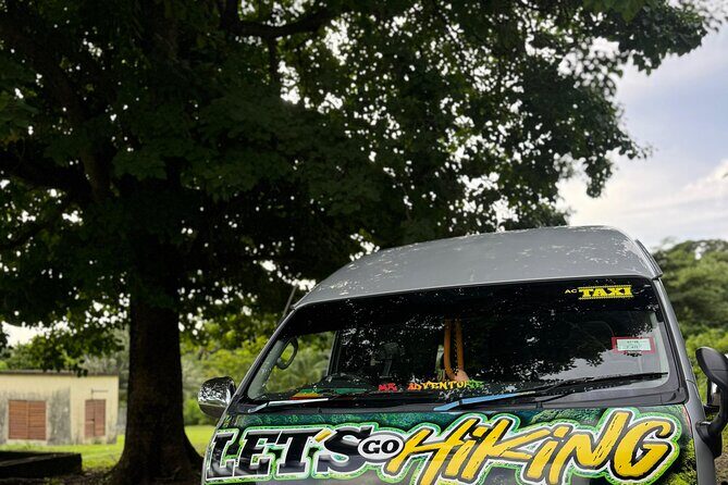 Wingfield Rain Forest Nature Trail Adventure - Key Points