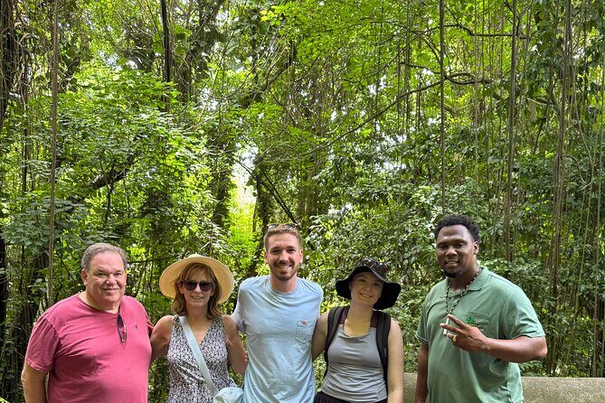 Wingfield Rain Forest Nature Trail Adventure - An In-Depth Look at the Wingfield Rain Forest Adventure