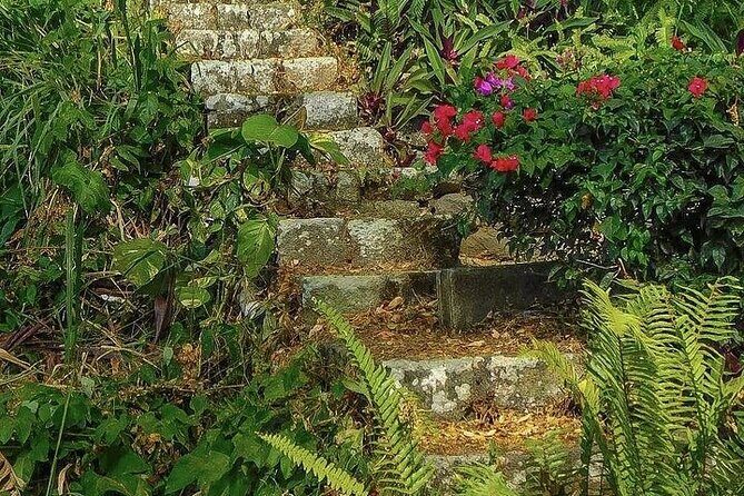 Wingfield Rainforest Adventure Hike and Caribelle Batik stop - Key Points