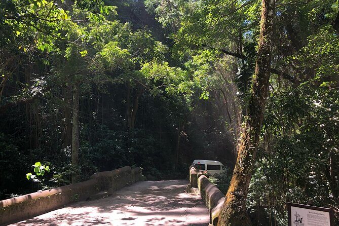 Wingfield Rainforest Hike St Kitts and Romney Manor Adventure - The Experience in Detail