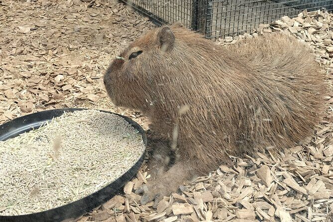 Wings Wildlife Park and Scenic Tour - Final Thoughts: Who Will Love This Tour?
