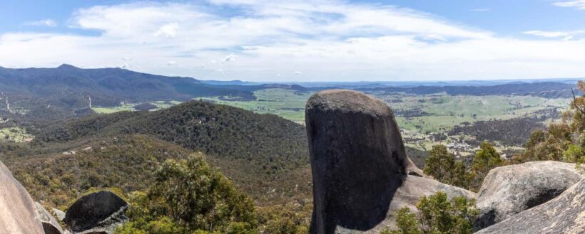 Wings & Wilds of Canberra Tidbinbilla Half-Day Private Tour - An Informed Look at the Experience