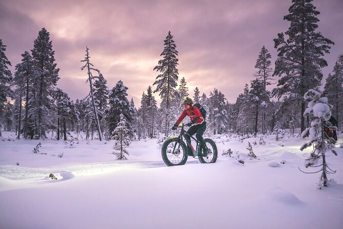 Winter afternoon group Ride in Saariselkä - Practical Details and Value