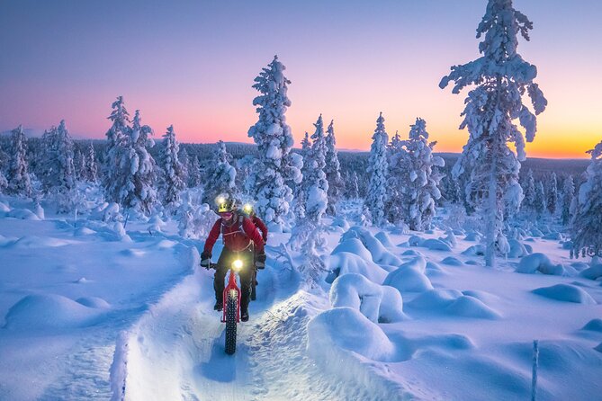 Winter afternoon group Ride in Saariselkä - Who Will Love This Tour?