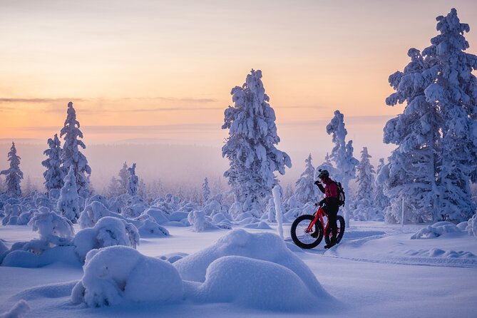 Winter afternoon group Ride in Saariselkä - FAQ
