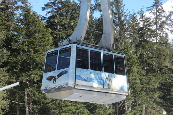 Winter - Alaska Wildlife Center with Alyeska Tram - Key Points